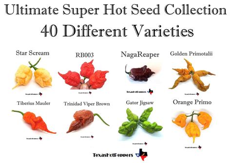 1 Ultimate Super Hot Seed Collection 40 Different Scorching Hot Var