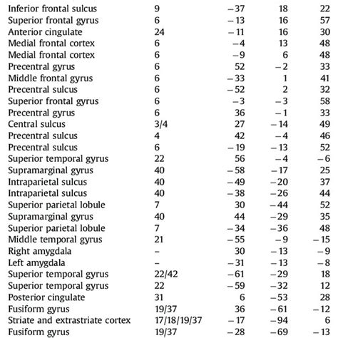 True Memory And False Memory Activations Download Table