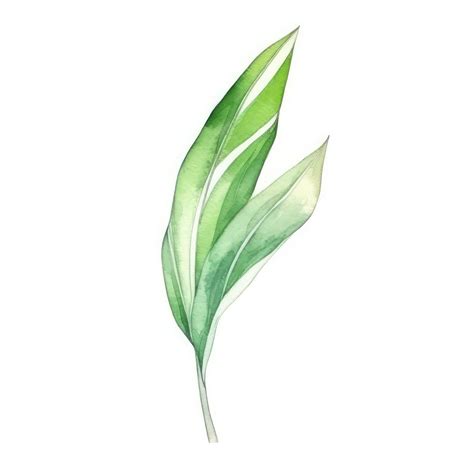 Premium Ai Image Leaf Plant Nerd Sketch Art Bright Color Drawing