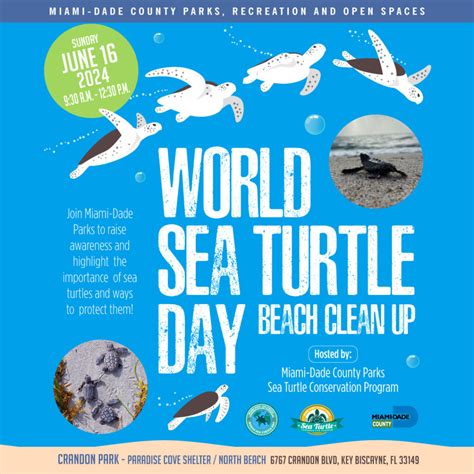 Clean Beaches Happy Turtles Celebrate World Sea Turtle Day With A Beach Cleanup The Miami Guide