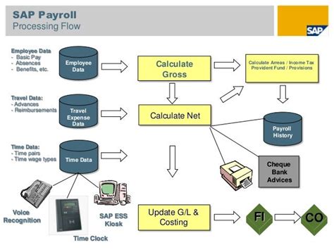 Payroll Process Payroll Process Sap