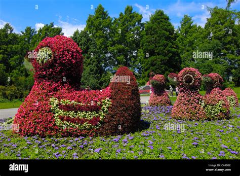 Mainau Flower Island Flowers Sculpture Baden Wuerttemberg Germany
