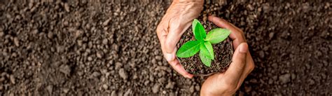 Soil Conditioning In Nebraska Spring Creek Ag Products Inc