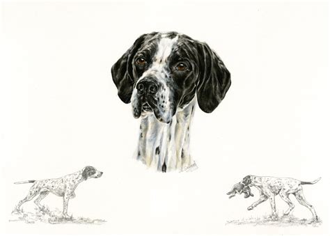 Working Black Cocker Spaniel Portrait Ann Seward