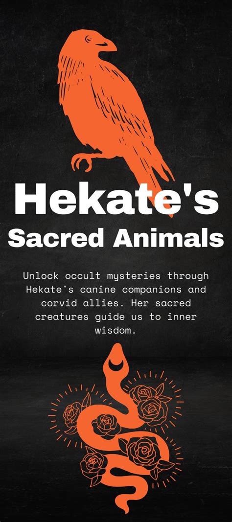 Pin On Witchcraft For Beginners Learning Spells And Herbs