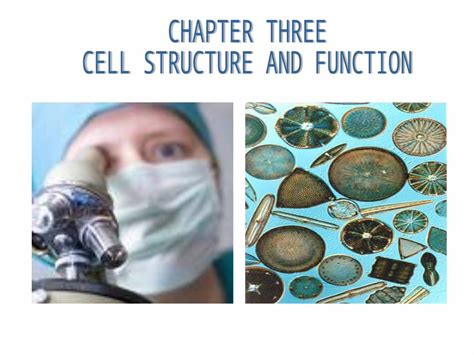 Ppt Chapter Three Cell Structure And Function Dokumentips