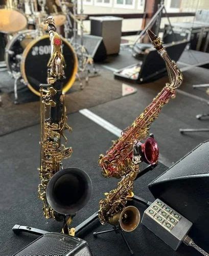 Sexophone Musical Instruments At Rs 15000 In Ranchi Id 2852935513497