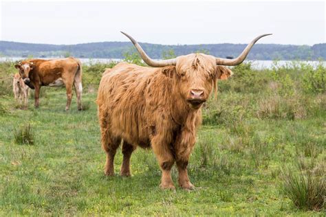 Les Landes Secrètes