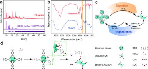Characterization Of Fd Sample And Diagram Of Zr Mof Digestion A Xrd Download Scientific