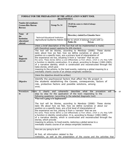 4 Format For The Preparation Of The Script For Application Diagnostic
