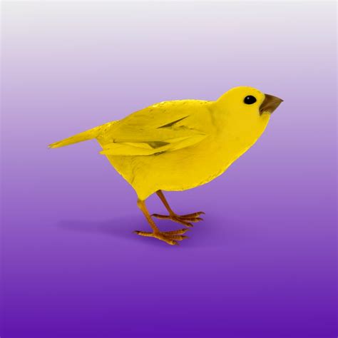 Монеточка 2024 ВКонтакте