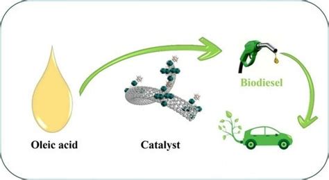 Response Surface Optimization Of Biodiesel Production Via