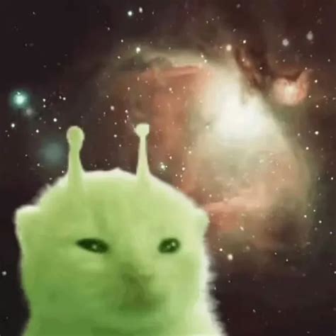 戴着天线的绿毛猫，置身于神秘浩瀚的宇宙星空背景中 在地球刷到了来自外太空的meme表情包 表情包图片动图 求表情网 斗图从此不求人