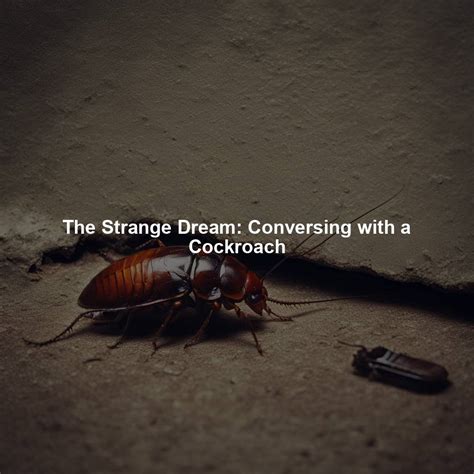 The Strange Dream Conversing With A Cockroach