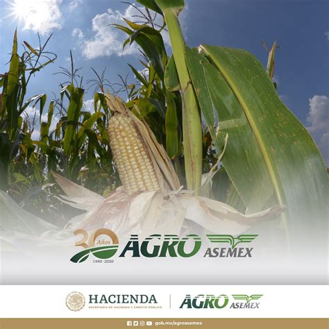 En Sus 30 Años De Historia Agroasemex Sa Se Ha Consolidado Como La