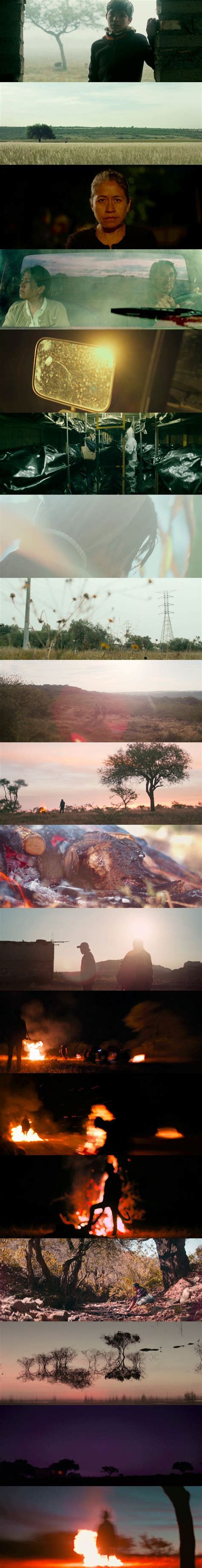 Identifying Features 2020 By Fernanda Valadez Beautiful