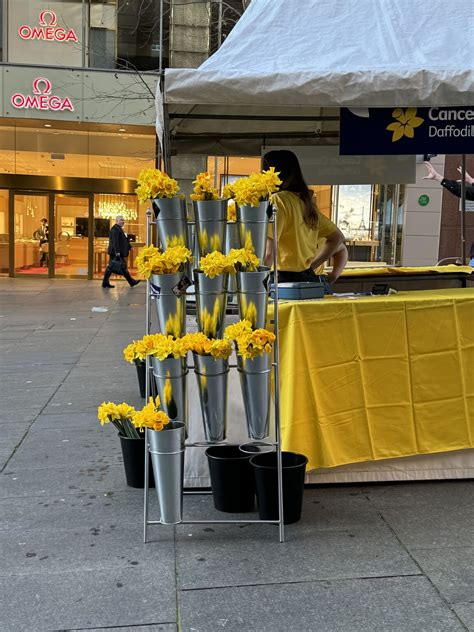 Thuvi Thava On Linkedin Daffodilday Cancercouncil Hope Supportresearch Fightcancer