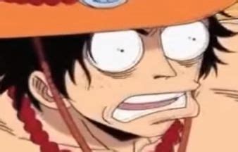 Pin By Me On Meme Reactions And Responses One Piece Ace One Piece