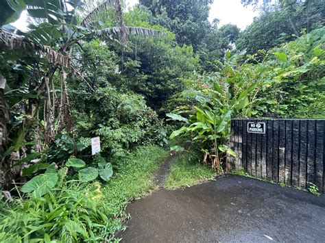 Hiking The Puʻu Pia Trail On Oʻahu — Noahawaii