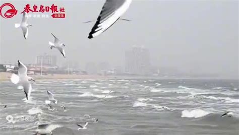 五一”来秦皇岛海边感受最极致浪漫杨宏璐王勍刘菡