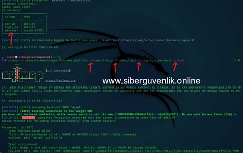 Kali Linux Sqlmap Nedir Nasıl Kullanılır Siber Güvenlik Portalı