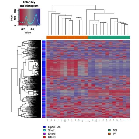 Heatmap Showing The Hierarchal Clustering Of The Top 1000 Most Variable