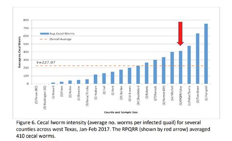 Protecting The Health Of Wild Quail