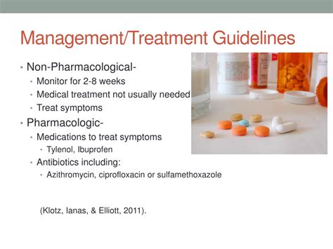 Ppt Cat Scratch Fever Powerpoint Presentation Free Download Id 2380613