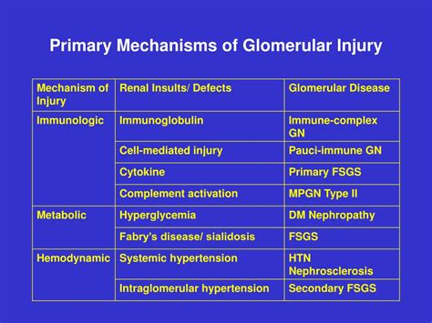 Ppt Glomerular Diseases Powerpoint Presentation Free Download Id 3216704