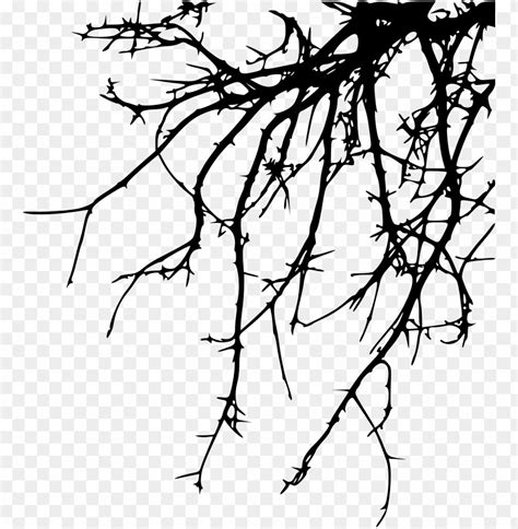 Free Download HD PNG Transparent Silhouette Of Intricate Branch Png PNG Image ID 4194 TOPpng Free Download HD PNG Transparent Silhouette Of Intricate Branch Png PNG Image ID 4194 TOPpng