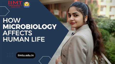 The Incredible Impact Of Microbiology On Human Life Iimt University
