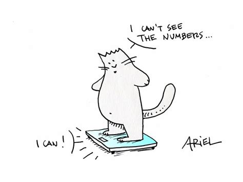 Ariel Borremans Posted On Linkedin