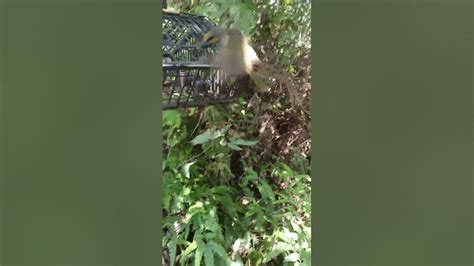 30 Ogos 2025 Youtube