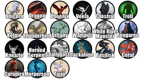 Harry Potter Wand Cores