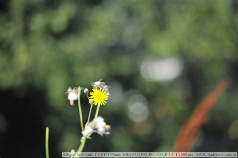 Review Of Soligor Tele Auto 1 28 F 135mm Test Soligor 135 28 Happy