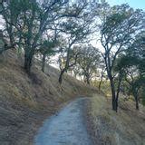 10 Best Trails And Hikes In Walnut Creek Alltrails