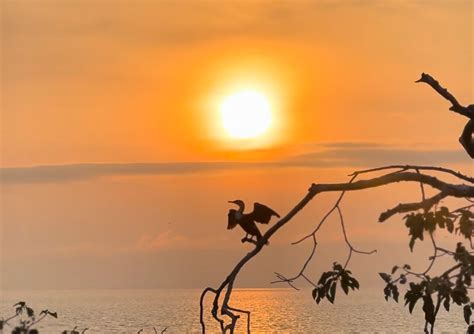 Rejuvenate Your Spirit In Nature The Samuka Island Experience Samuka