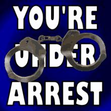 Youre Under Arrest Taiho Shichauzo  Youre Under Arrest Taiho Shichauzo Police Discover