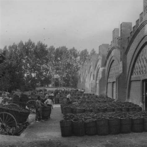 Las 10 Bodegas Más Antiguas De España De Codorníu Al Marqués De