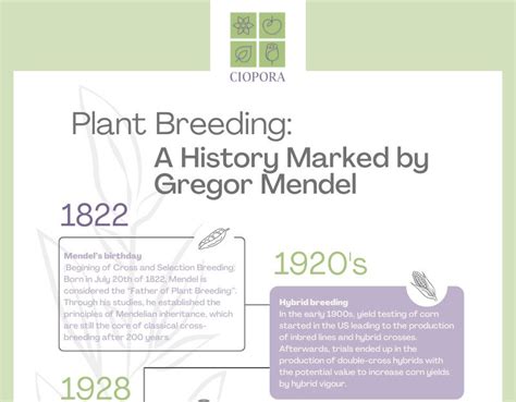 Following The Path Of Gregor Medel