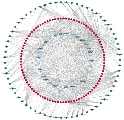Components Targets Pathways Network Of Phytoconstituents Of N Sativa