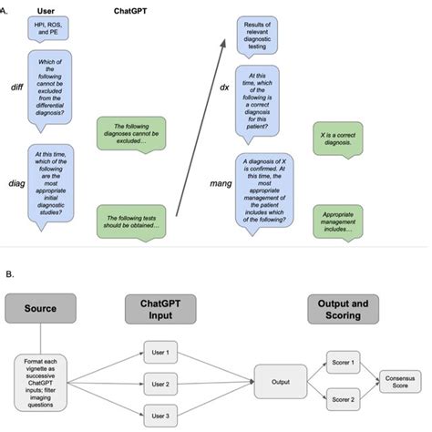 Experimental Workflow For Determining Chatgpt Accuracy In Solving