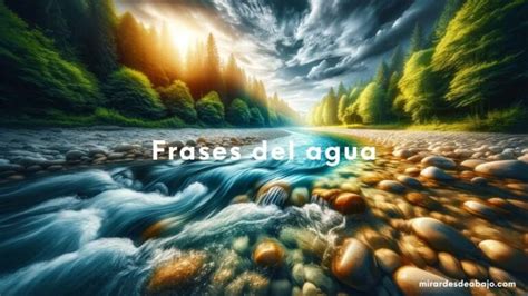 Frases Del Agua Para Un Cartel Y Tomar Conciencia En 2026