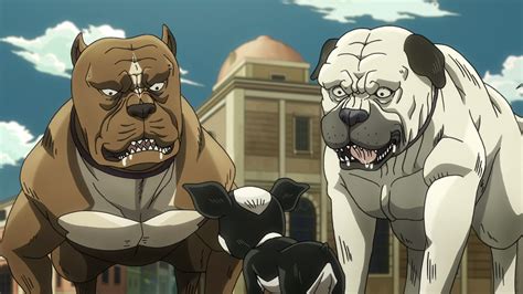 File Chibi And Buchi Anime Png Jojos Bizarre Encyclopedia Jojo Wiki