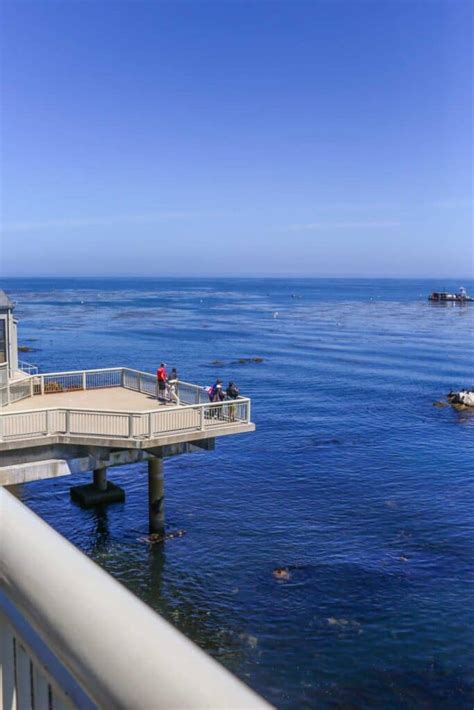 Visiting The Monterey Bay Aquarium An Honest Review With Pros And Cons California Nomad