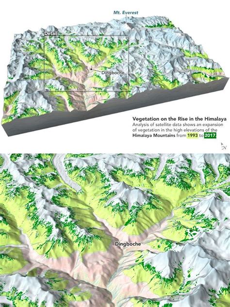 Everest Area Plant Life Spreads Nasa Science