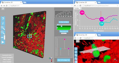 cloneview 3 d is a webgl html5 application that enables distributed download scientific diagram