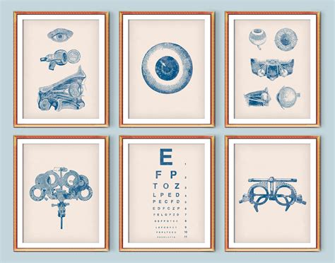 Eye Anatomy Vintage Poster Set Pupil Print Anatomical Eye Ophthalmology