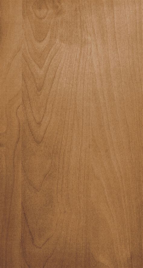 Free Oak Texture Map For Download