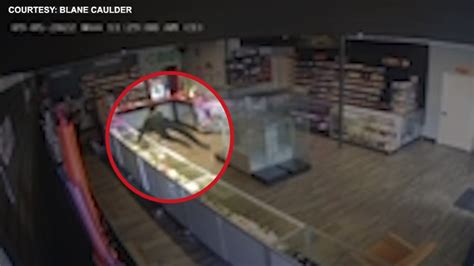 Store Owner Searching For Teens Caught Stealing On Camera But Doesnt